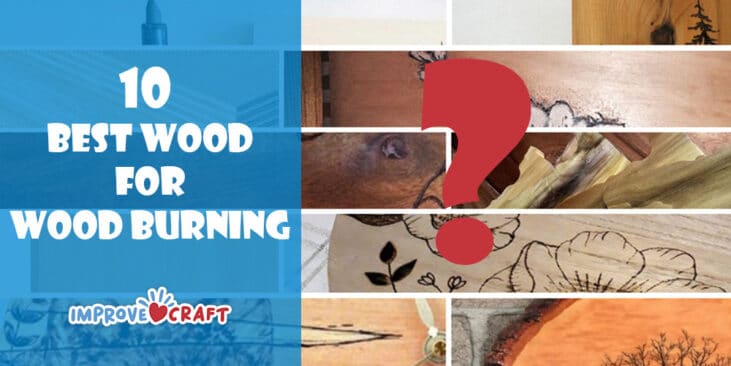 10 Best Wood for Wood Burning & Pyrography